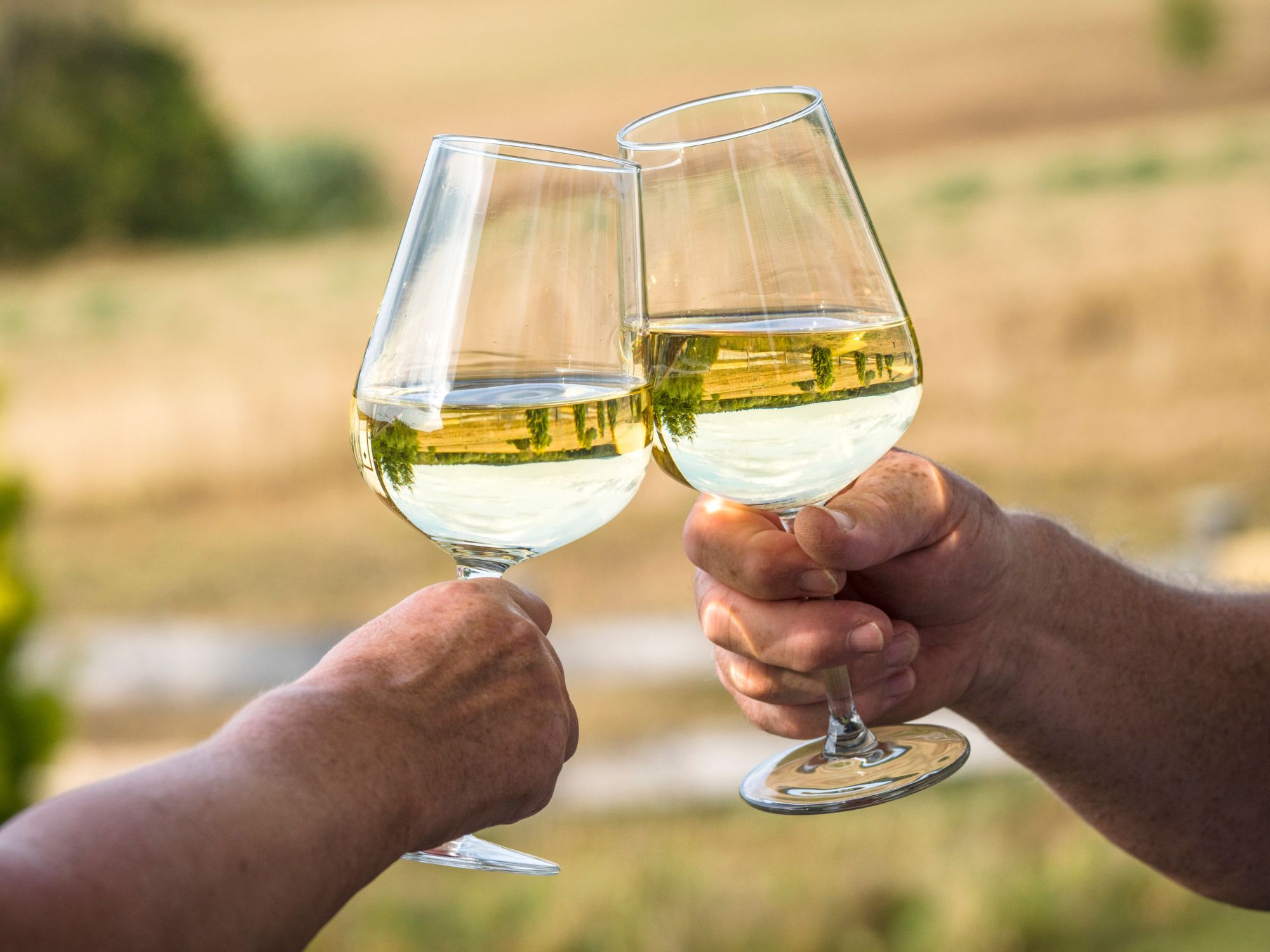 Ah ! Mon petit vin blanc, événement au Beausset dans le Var (83)