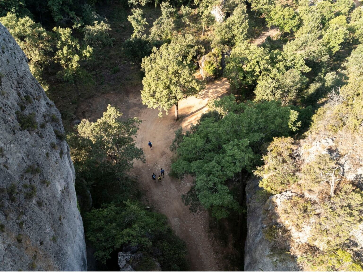 Massifs forestiers dans le Var : ce qu’il faut savoir avant vos balades ...